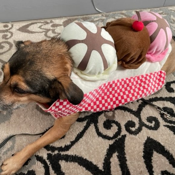 Dog | Pet Ice Cream Sundae Costume For Cats Or Dogs | Poshmark